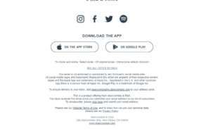 Intellectual Property Disclaimer | Termly