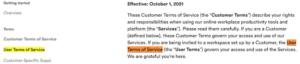 Sample Terms of Service Template