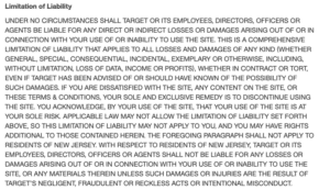 Ecommerce Terms and Conditions Template